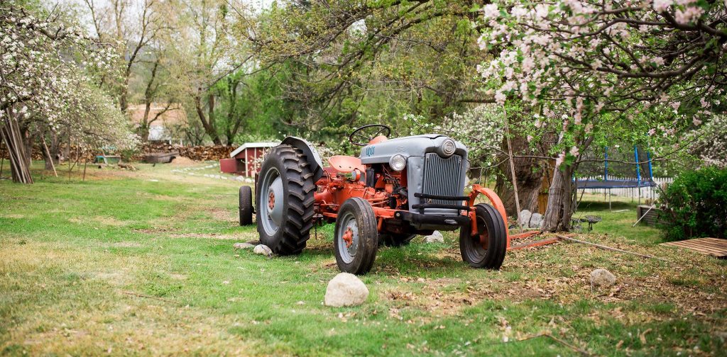 Visit Us | Willowbrook Apple Farm near Oak Glen, California