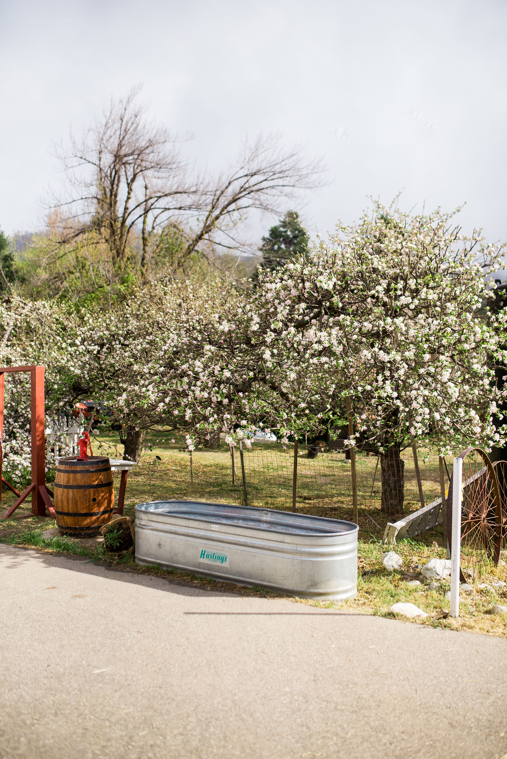 Owners of Willowbrook Apple Farm